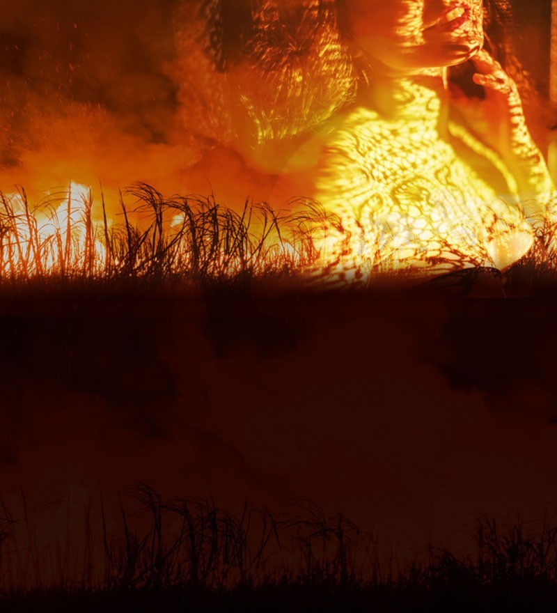 Riverlinks and HIT Productions present Summer of the Seventeenth Doll ...